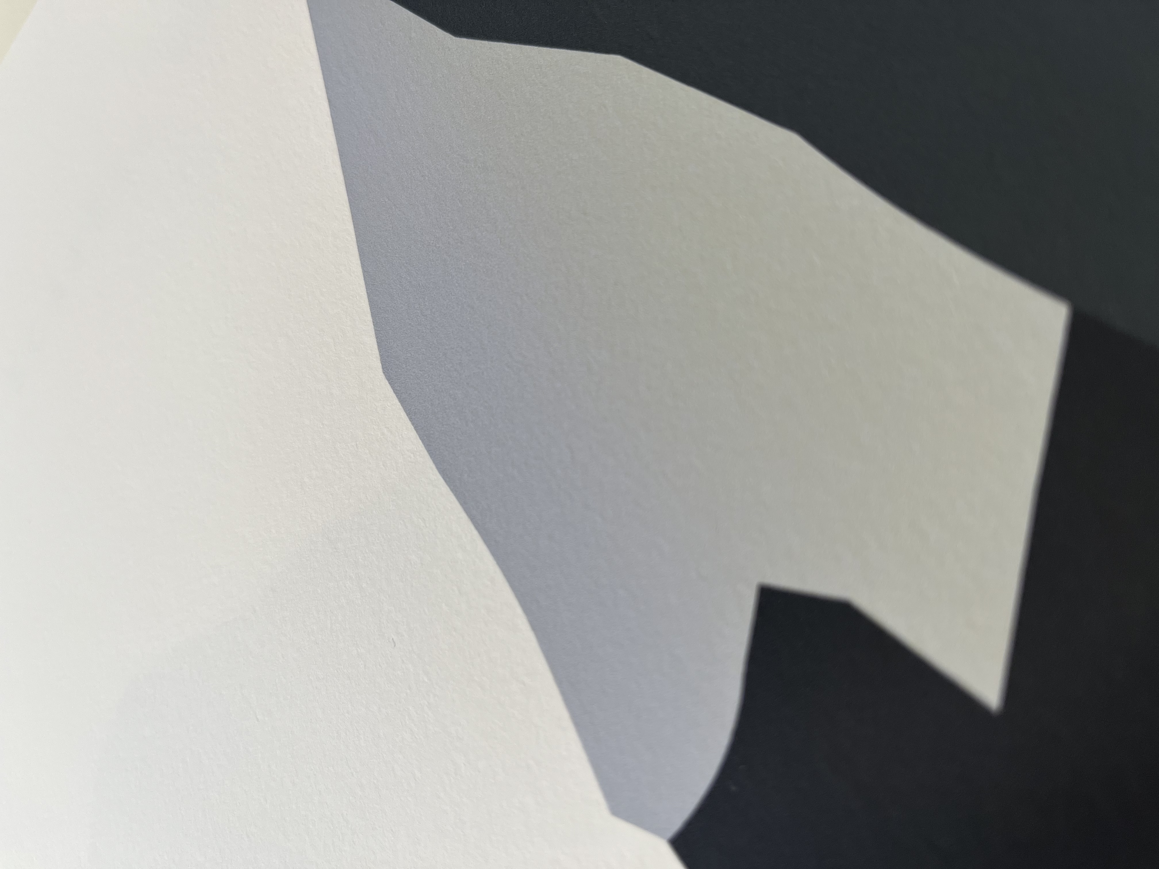 Canon Pro-1000 solid block colors printing with gradient or banding | DPReview Forums