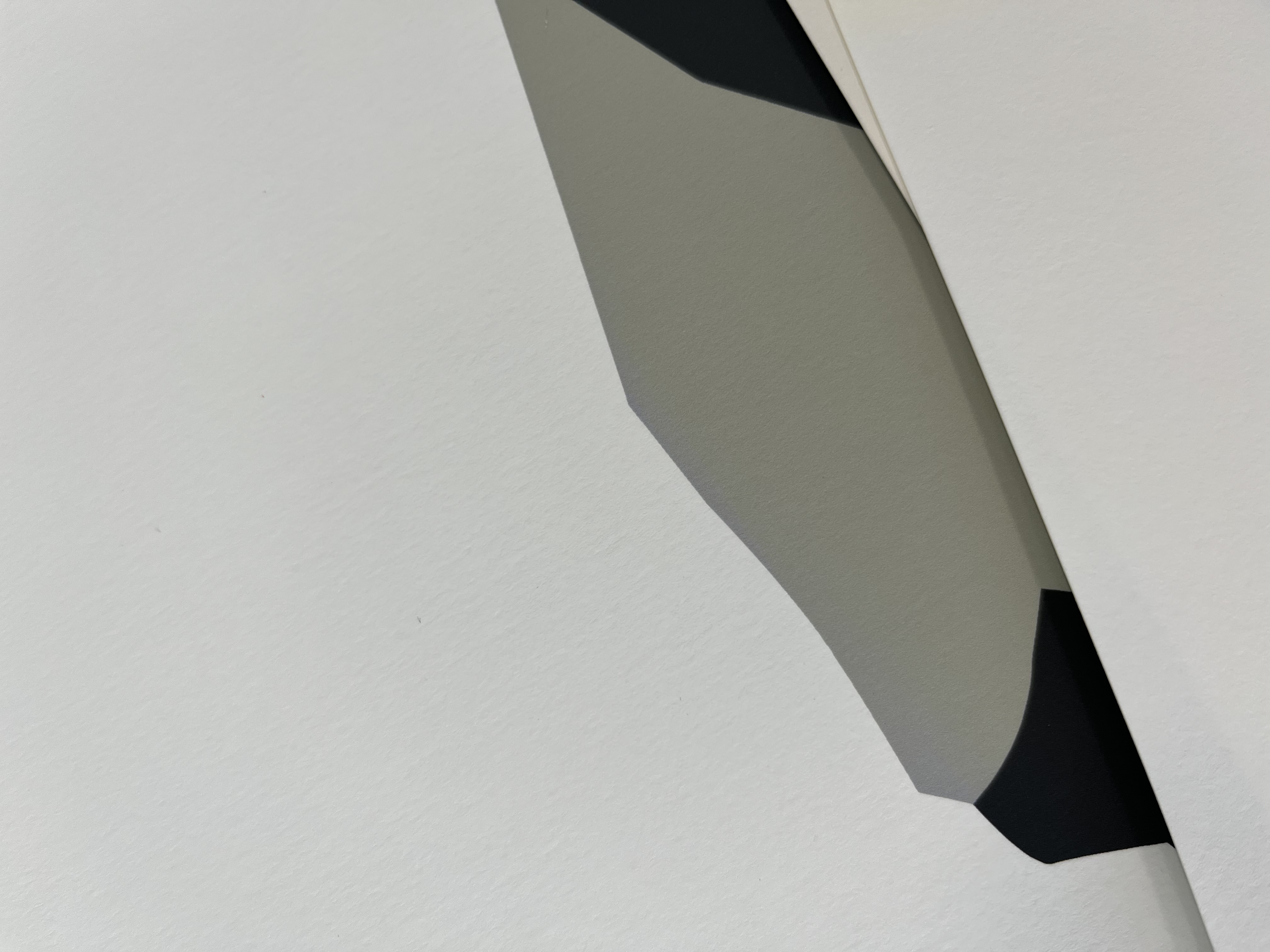 Canon Pro-1000 solid block colors printing with gradient or banding | DPReview Forums