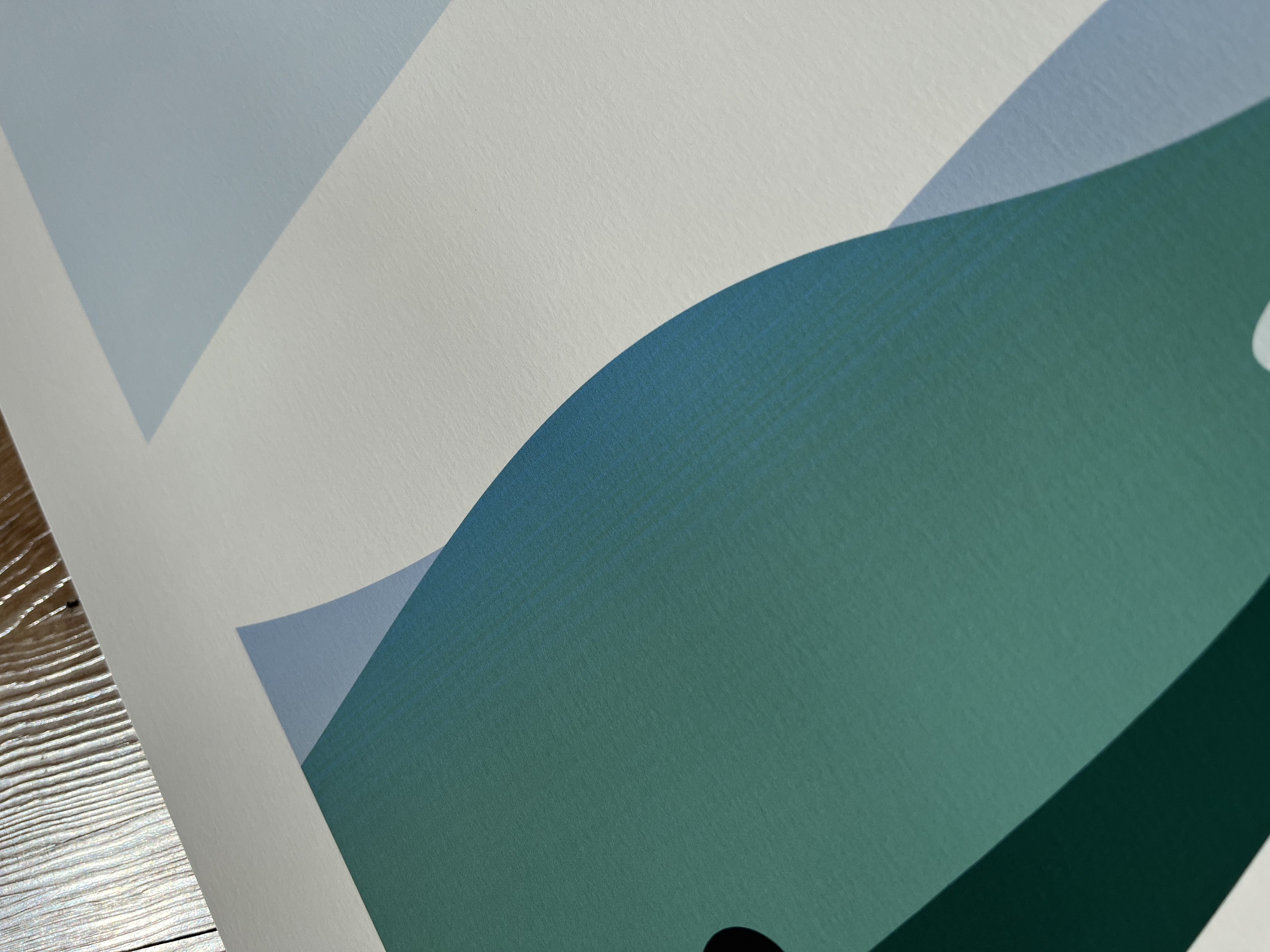 Canon Pro-1000 solid block colors printing with gradient or banding | DPReview Forums